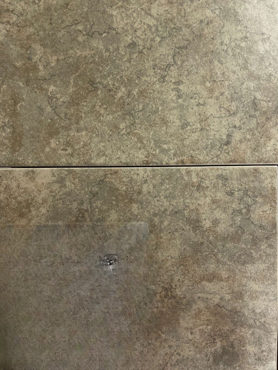 La Paz Blue Agave - Floor Pro